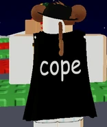 Capes | PFS Wiki | Fandom