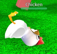 Chicken | PFS Wiki | Fandom