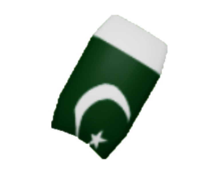 Pakistan Pillow | PFS Wiki | Fandom
