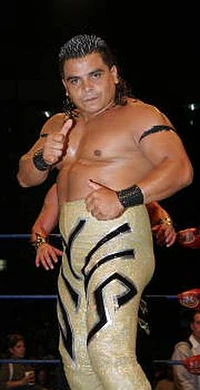 El Bombastico Fantastico | PGA Wiki | Fandom