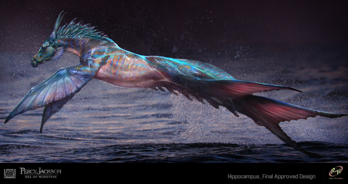 Hippocampus Phaeselis Wiki Fandom