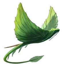 Leaf ray | Phaeselis Wiki | Fandom