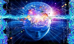 Bewusstsein | Phansud Wiki | Fandom