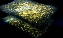 Brane | Phansud Wiki | Fandom