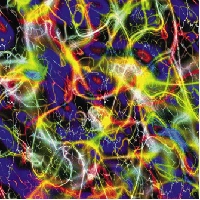 UNITOKA | Phansud Wiki | Fandom