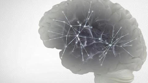 NeuroNetz | Phansud Wiki | Fandom