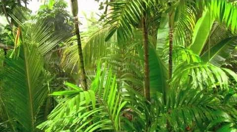 Dschungel | Phansud Wiki | Fandom