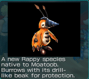 Rappy | Phantasy Star Wiki | Fandom