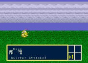 Rappy | Phantasy Star Wiki | Fandom