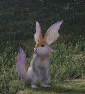 Sunny | Phantasy Star Wiki | Fandom