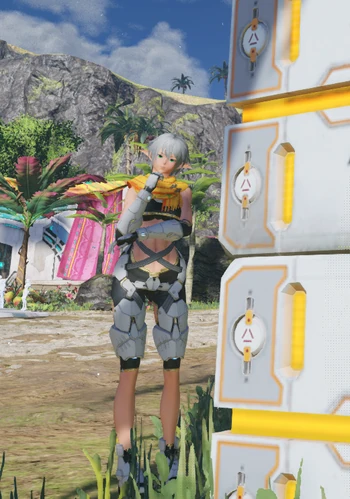 Minor characters in PSO2:NGS | Phantasy Star Wiki | Fandom