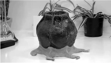 Malevolent Alien Plant | Phantomlake Wiki | Fandom