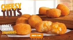 Worst Fast Food Failures | Phantomstrider Wiki | Fandom