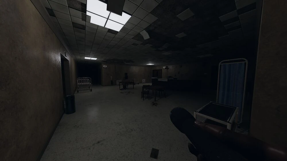 Asylum | Phasmophobia Вики | Fandom