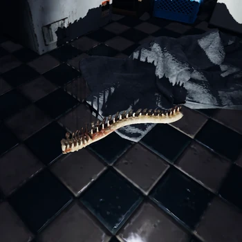 Bone Evidence | Phasmophobia Wiki | Fandom