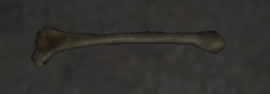 Hueso | Wiki Phasmophobia | Fandom