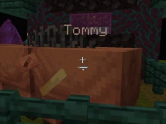 The NetherVoid | Philza Wiki | Fandom