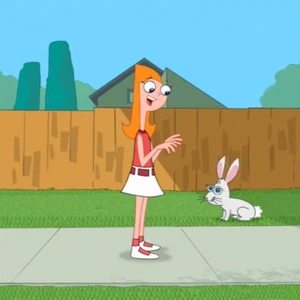 Discuss Everything About Phineas and Ferb Wiki | Fandom