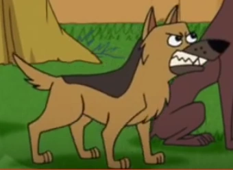 Belgian Shepherd | Phineas and Ferb Wiki | Fandom