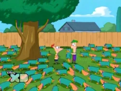 When Platypi Fight Phineas And Ferb Wiki Fandom
