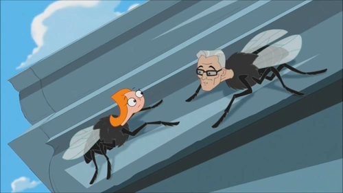 Human Head Fly | Phineas and Ferb Wiki | Fandom