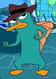 Perry l'ornitorinco | Phineas e Ferb Wiki | Fandom