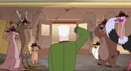 Agent K (kangaroo) | Phineas and Ferb Wiki | Fandom