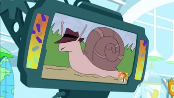 Sergei the Snail | Phineas and Ferb Wiki | Fandom