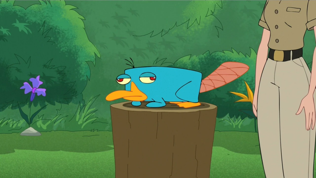 Platypus | Phineas and Ferb Wiki | Fandom