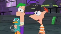 Perry and Ferb's relationship | Phineas and Ferb Wiki | Fandom