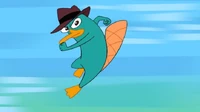 Perry o Ornitorrinco | Phineas e Ferb Portugal Wiki | Fandom