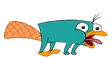 Galeria:Perry o Ornitorrinco | Phineas e Ferb Wiki | Fandom