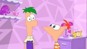 Relação de Phineas e Ferb | Phineas e Ferb Wiki | Fandom