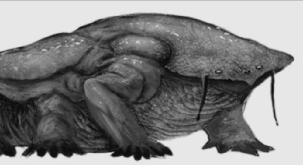 Oggiphobia | Phobiapedia | Fandom