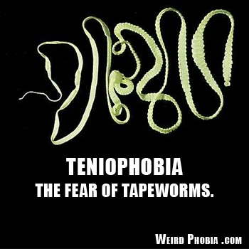 Teniophobia | Phobiapedia | Fandom