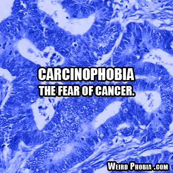 Carcinophobia | Phobiapedia | Fandom