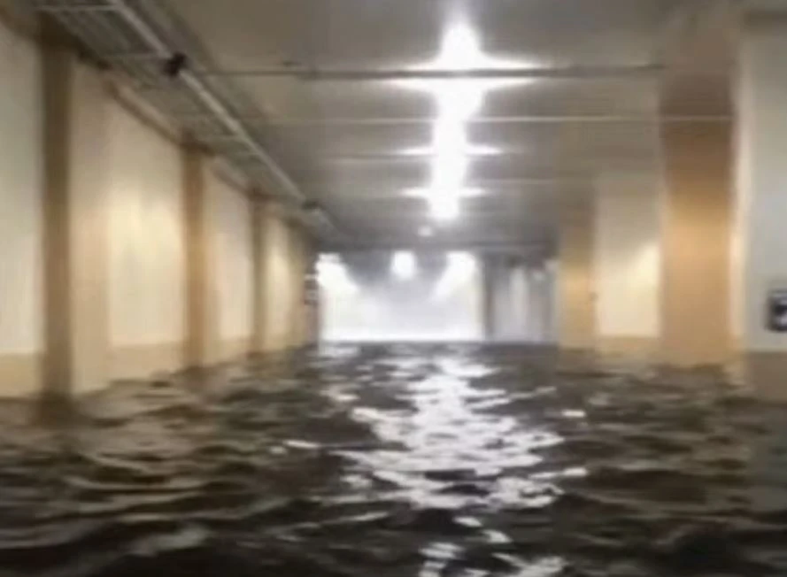 Amazon Music Unlimited | Phobia Wiki | Fandom