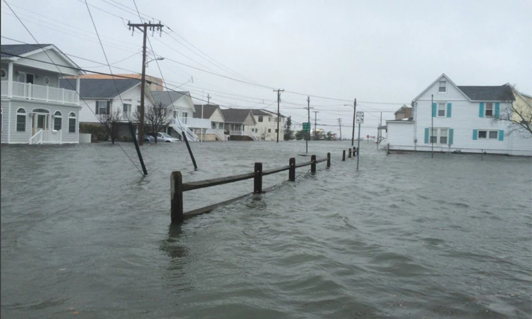 Antlophobia | Phobiapedia | Fandom