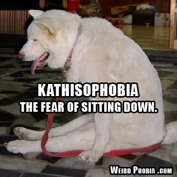 Cathisophobia | Phobiapedia | Fandom