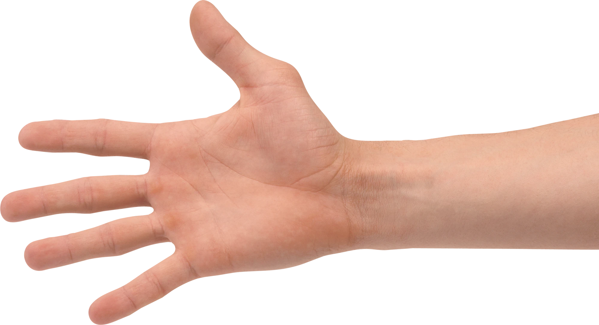 Chirophobia | Phobia Wiki | Fandom