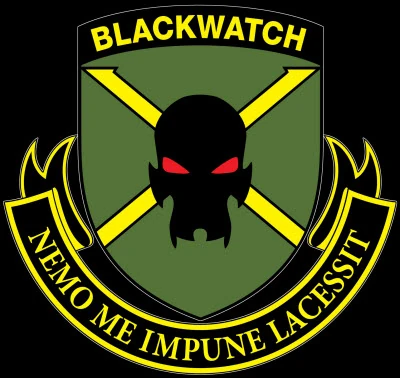 Blackwatch | Phoenix Fall: Division Fan-Fiction Universe Wiki | Fandom
