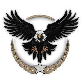 Chrysa Team | Phoenix Fall: Division Fan-Fiction Universe Wiki | Fandom