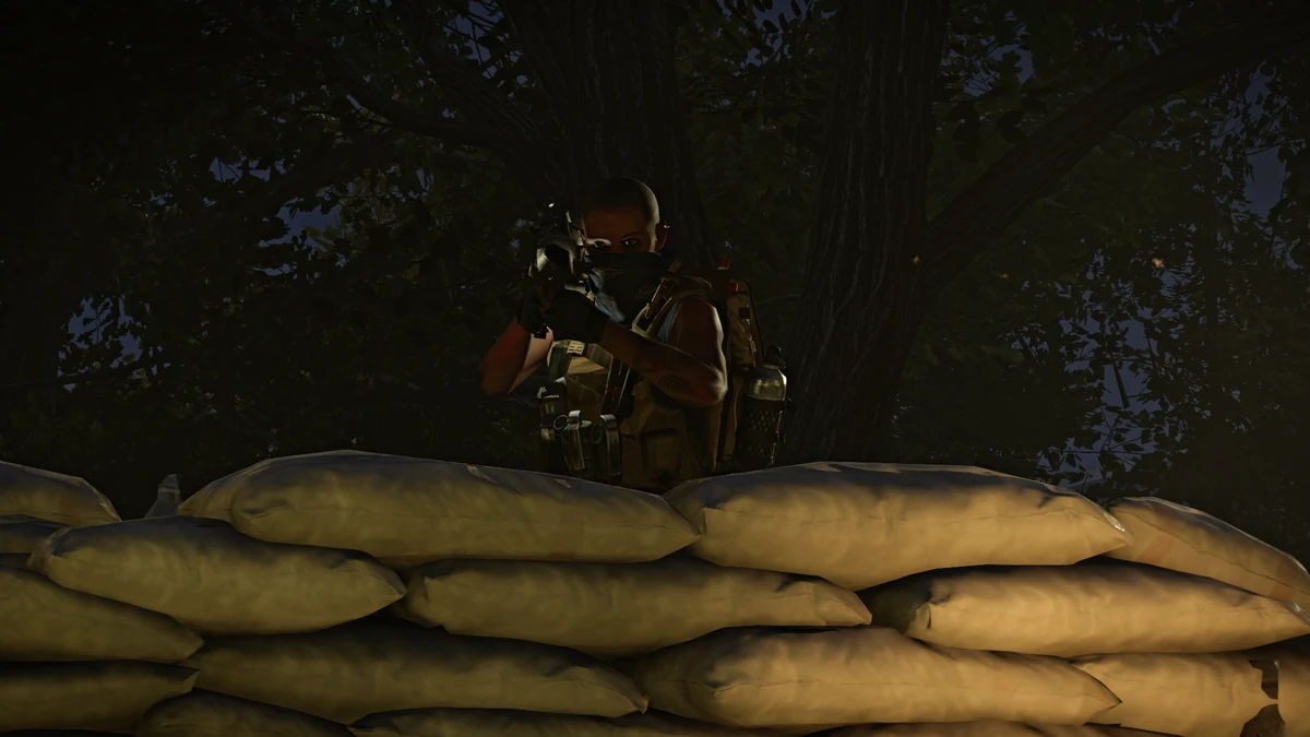 Corporal Angelina Jenkins | Phoenix Fall: Division Fan-Fiction Universe ...