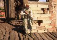 Goldtide Monarchs | Phoenix Fall: Division Fan-Fiction Universe Wiki ...