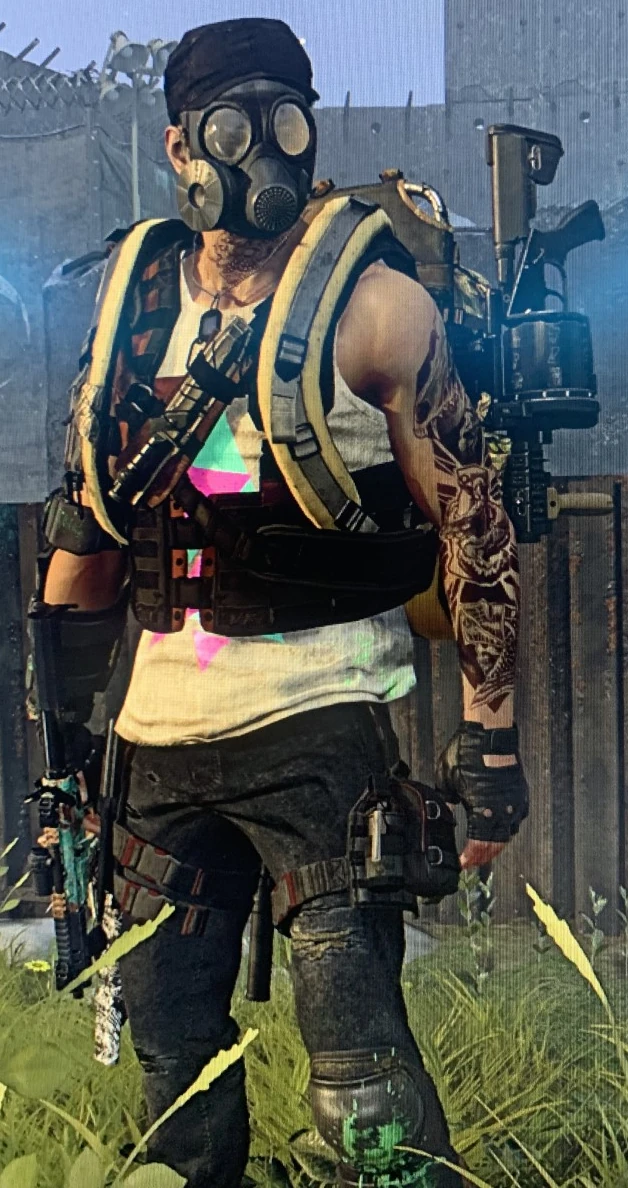 Typhon | Phoenix Fall: Division Fan-Fiction Universe Wiki | Fandom