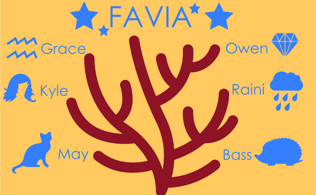 Favia | Phoenix ORG Wiki | Fandom