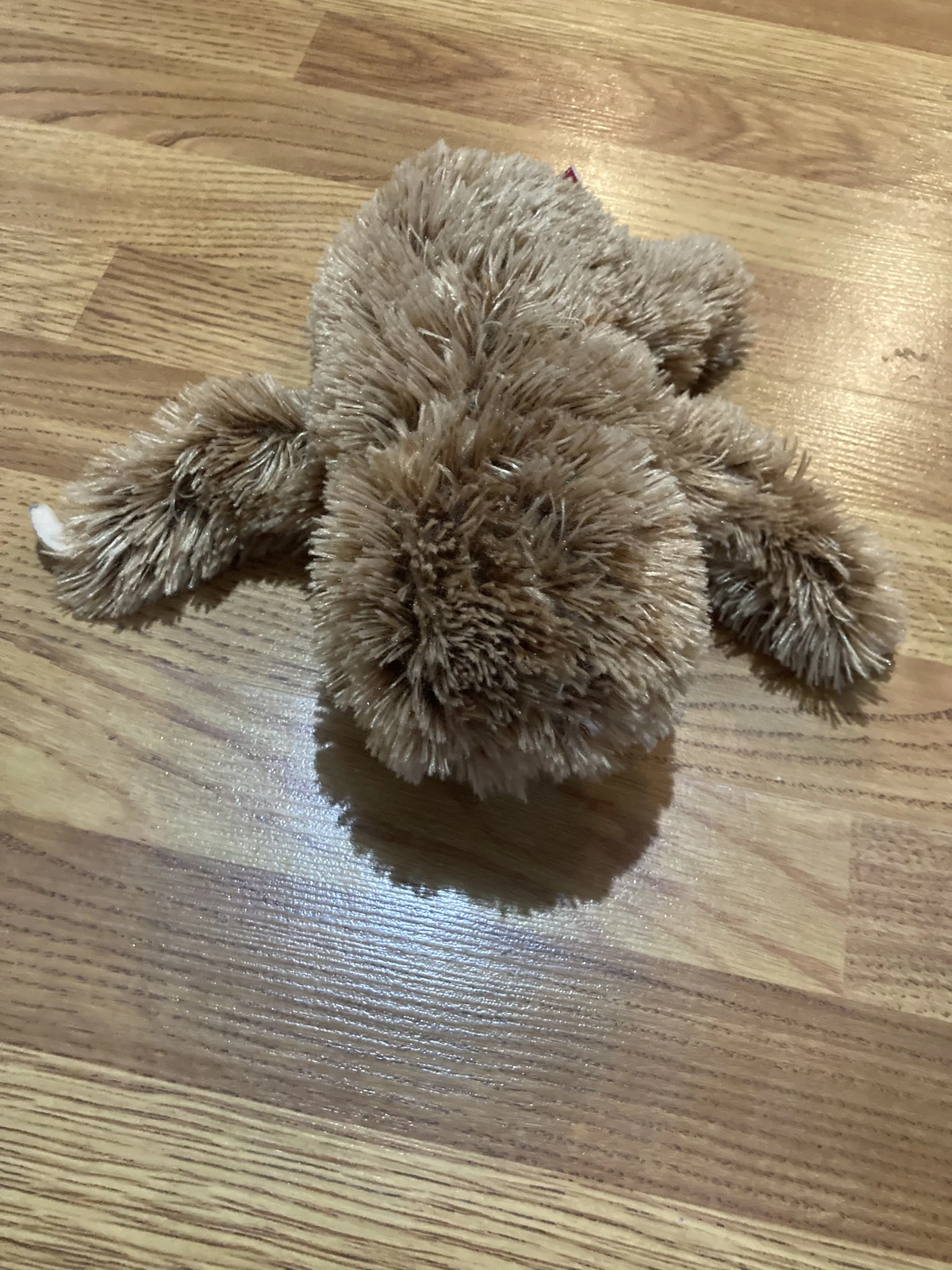 Chappies | Phoenix Sea Animals Wiki | Fandom