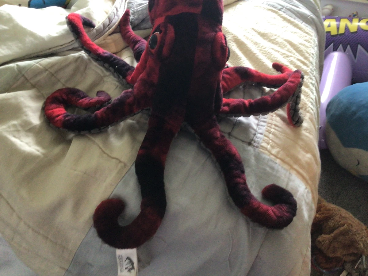 Moctopus | Phoenix Sea Animals Wiki | Fandom