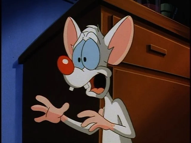 Pinky and The Brain | Photo Gallery Wiki | Fandom