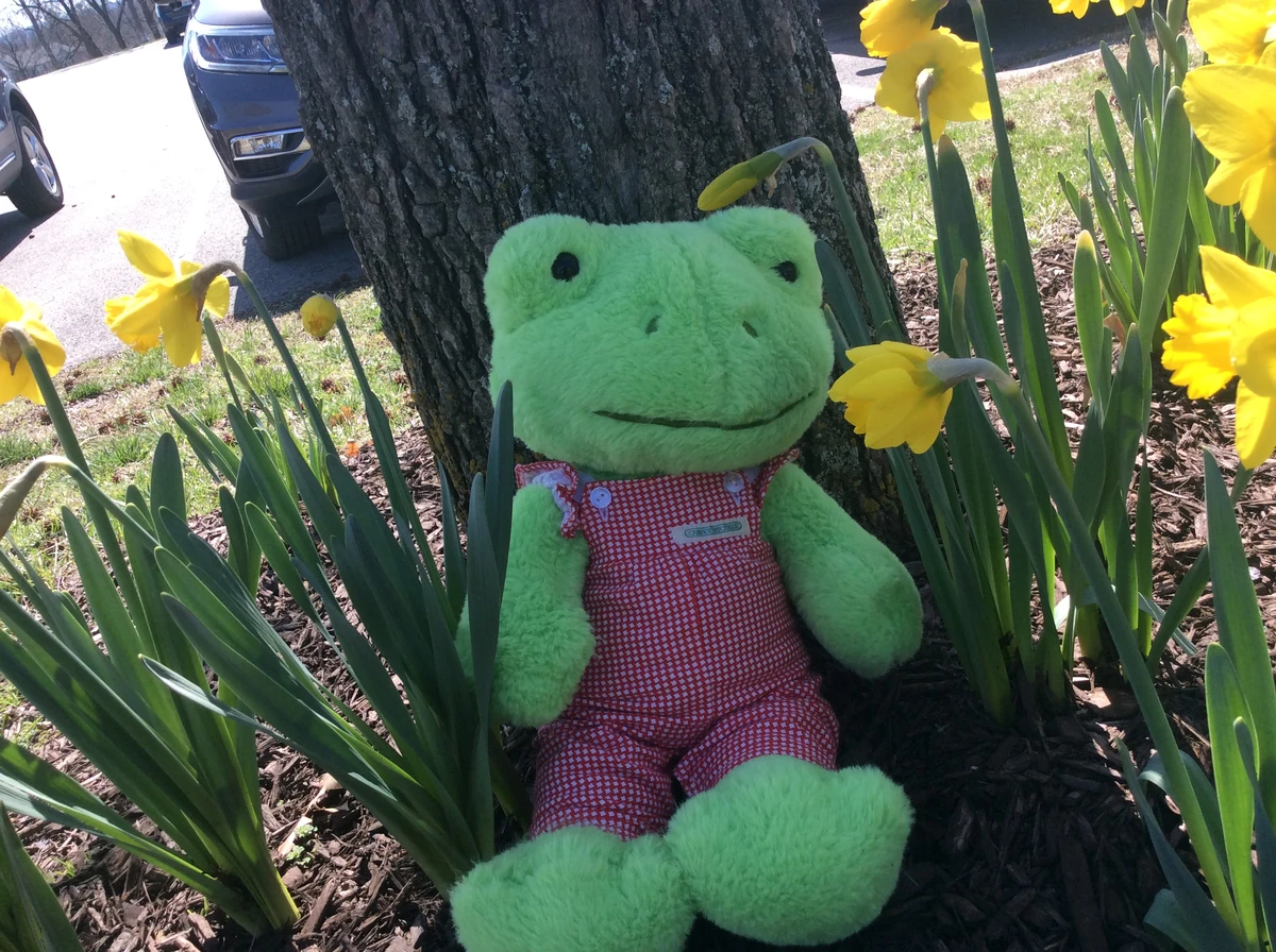 Fredrick | Frog Wiki | Fandom